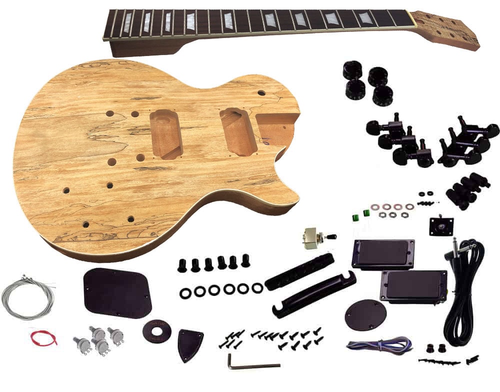 Les Paul Guitar Kit Guitar