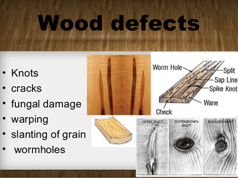 Wood & Wood Defects | Solo Guitars