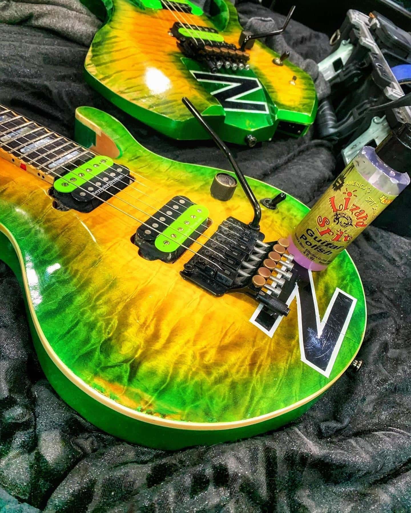 Lizard Spit Guitar Parts | Solo Guitars