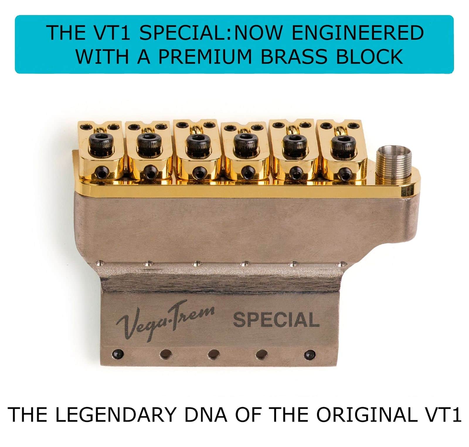 Shop Vega Trem VT1 Special Standard 6 Point System for Strat – Gold Online